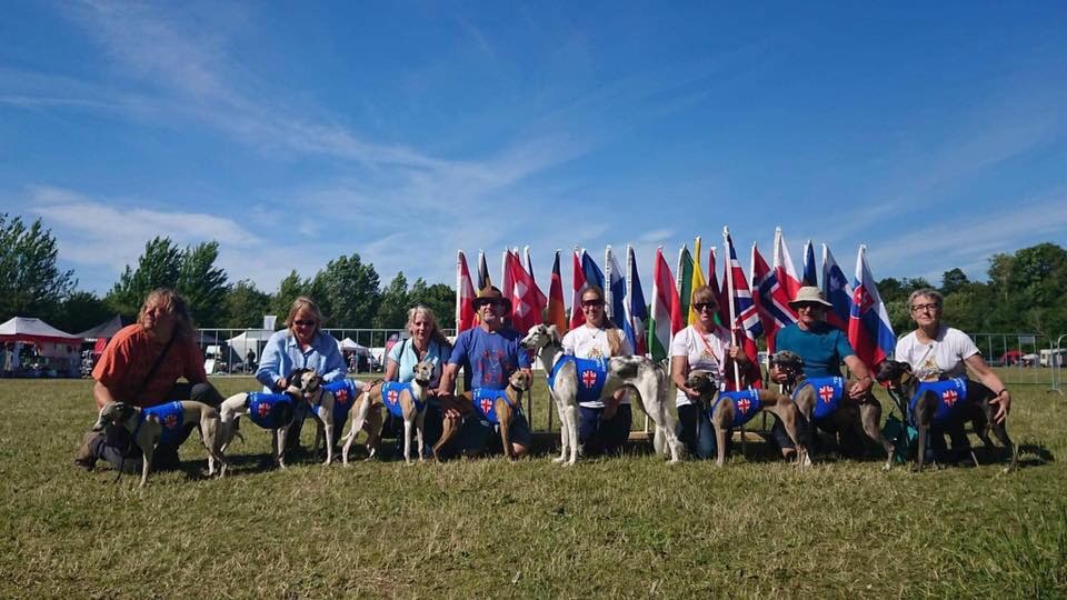 FCI European Lure Coursing Championship 2018 – Denmark – Uk Sighthound ...