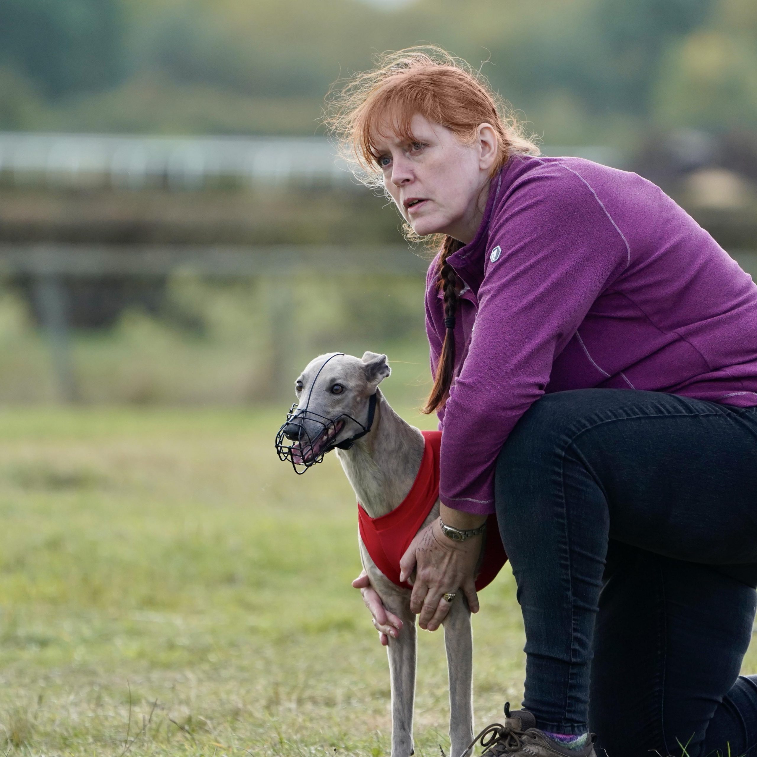 The Team – Uk Sighthound Sport